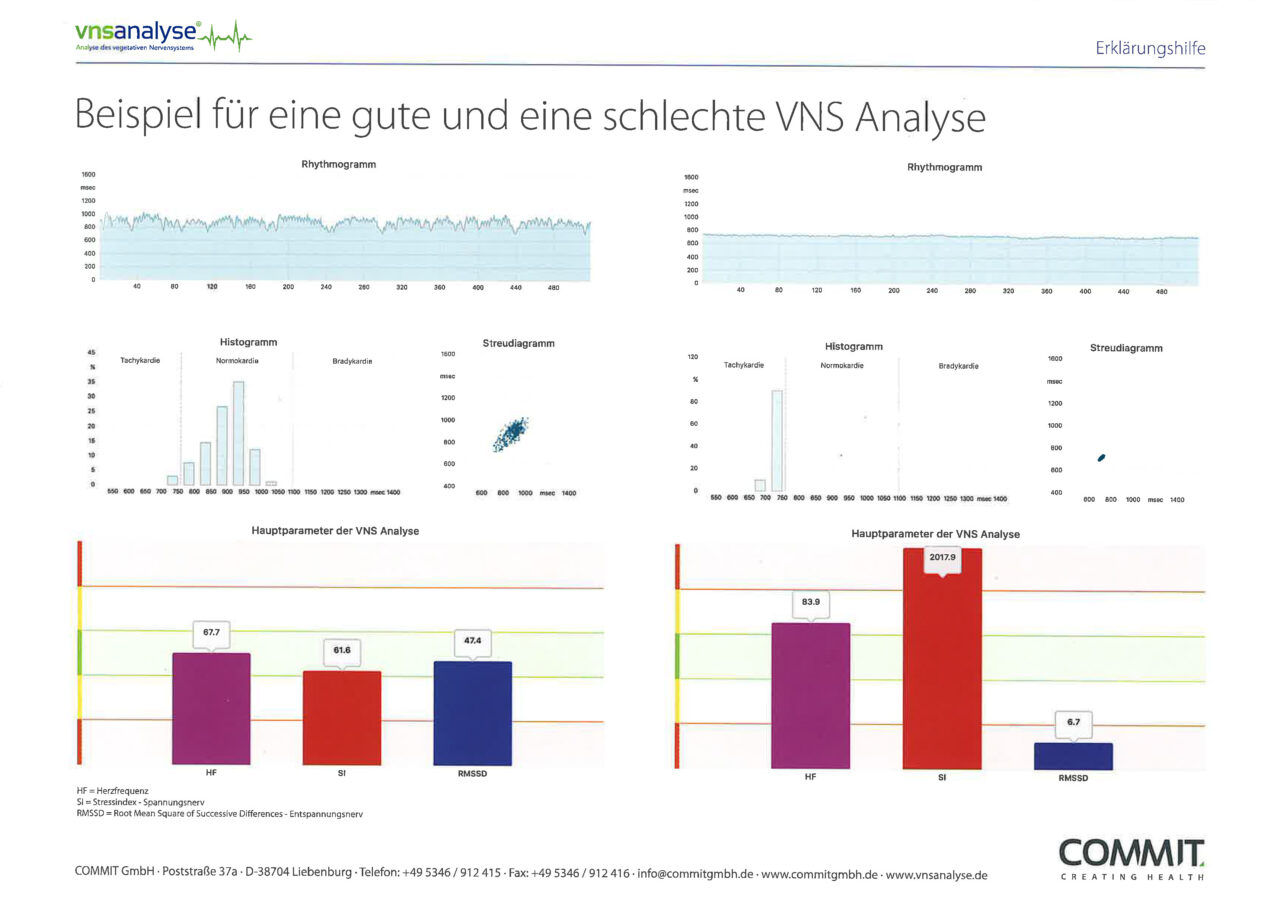 VNS-Analyse | PROHMED - by Dr. Huppertz Heidelberg